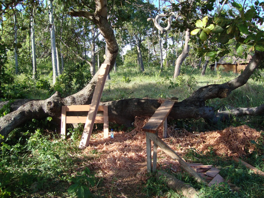 The Ukunda Tree part 2 | "Northern Crossings"